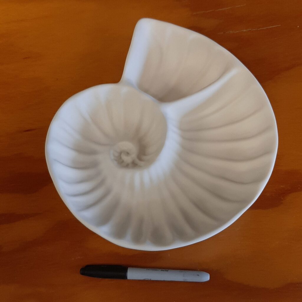 Chip-n-Dip - Shell | Your Creation Station