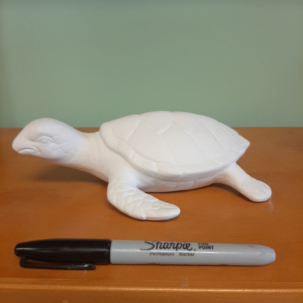 Tuck the Turtle | Your Creation Station