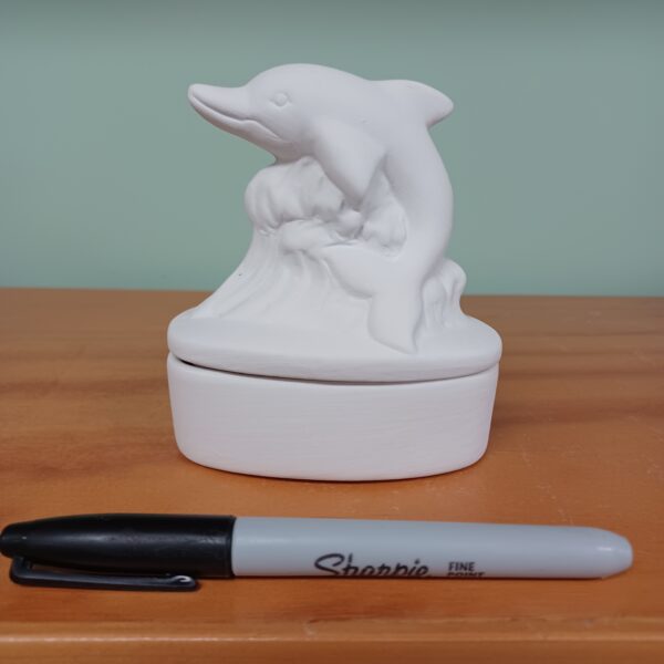 Dolly the Dolphin Box | Your Creation Station